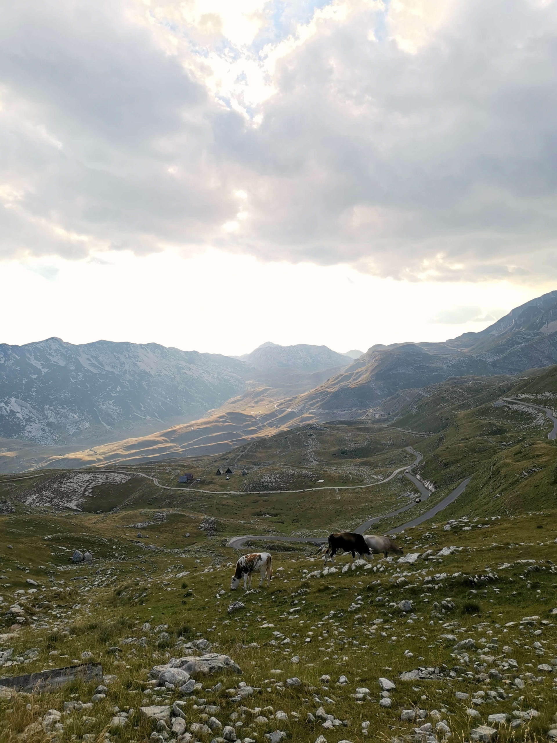 Le Parc National du Durmitor : que faire durant votre séjour
