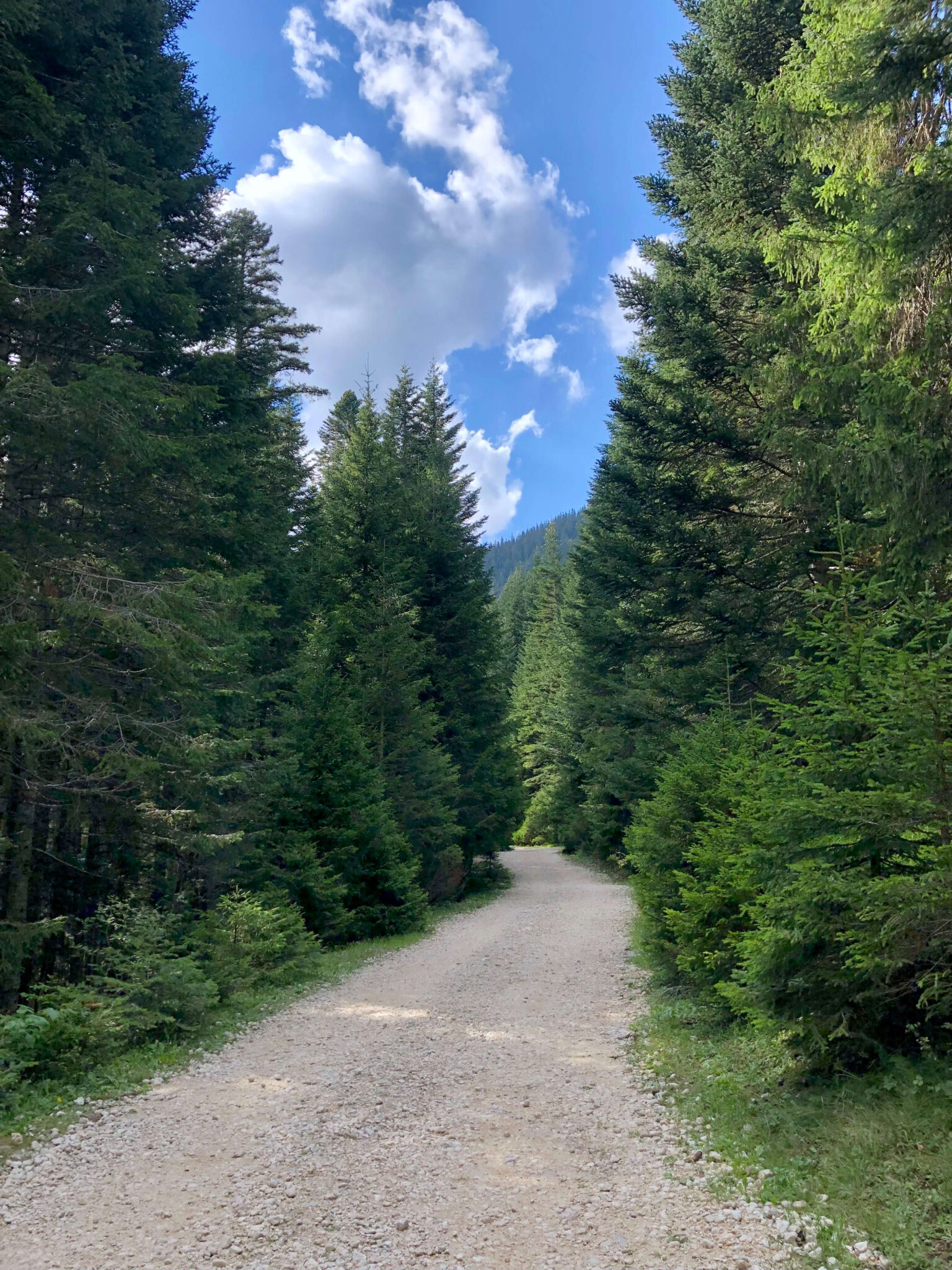 Le Parc National du Durmitor : que faire durant votre séjour