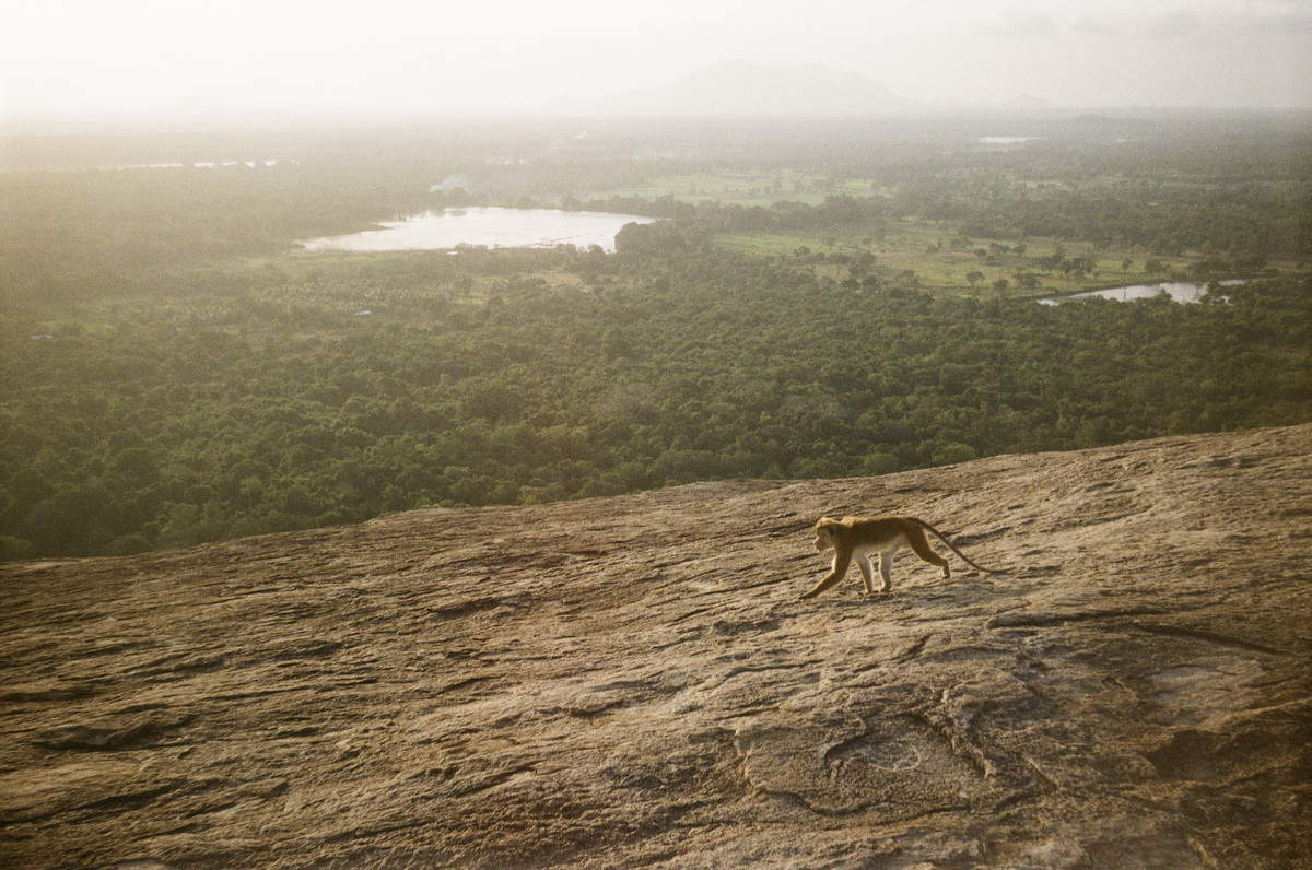 Road Trip au Sri Lanka : itinéraire de 2 semaines (avec budget)