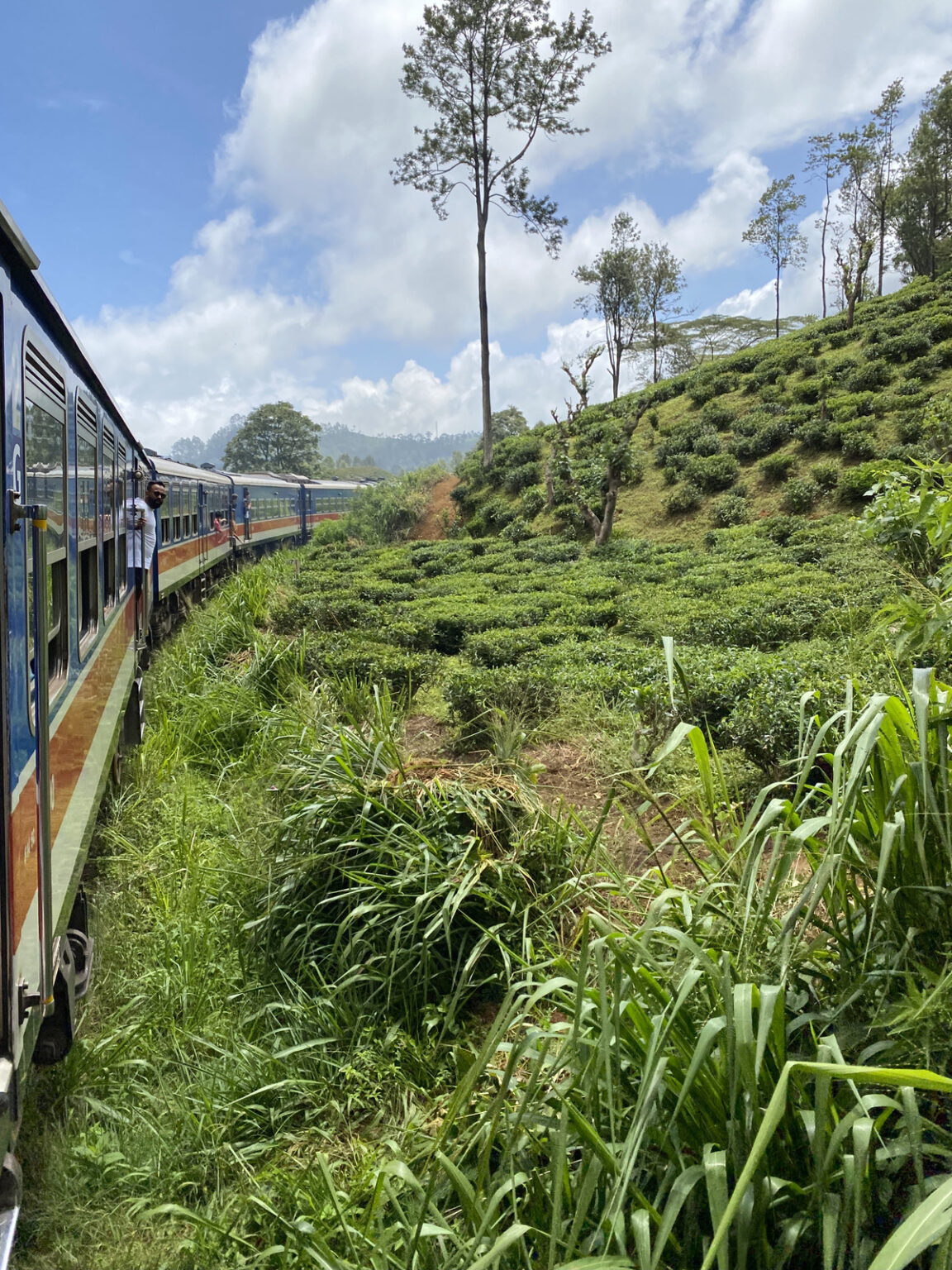 Prendre le train bleu au Sri Lanka entre Kandy et Ella : Notre guide