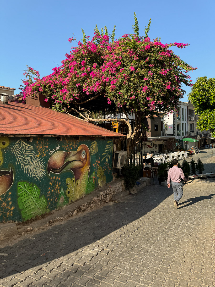 Visiter Kas en Turquie : Que faire ? Où se baigner