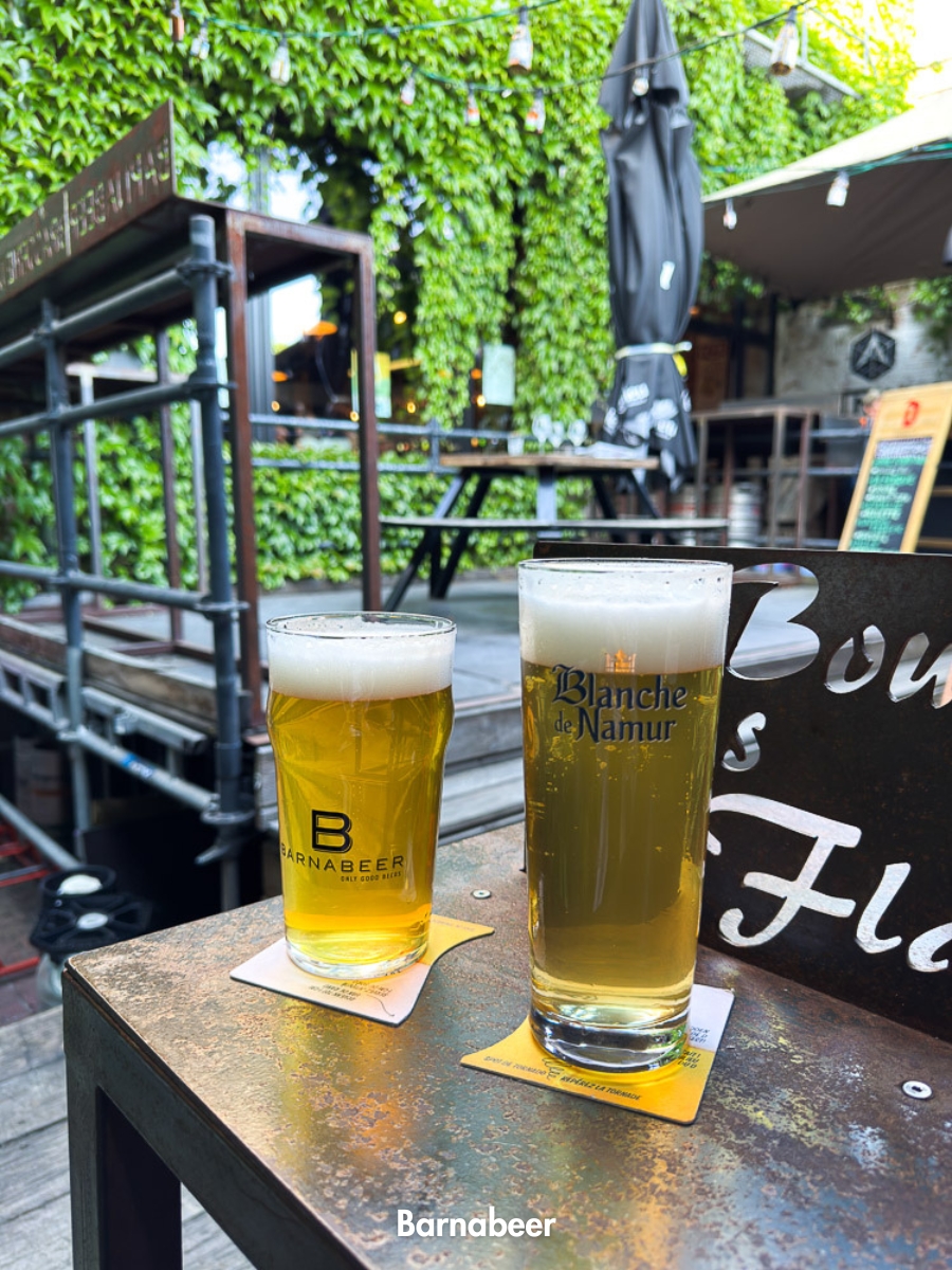 Que faire à Namur ? L'itinéraire parfait pour un week-end